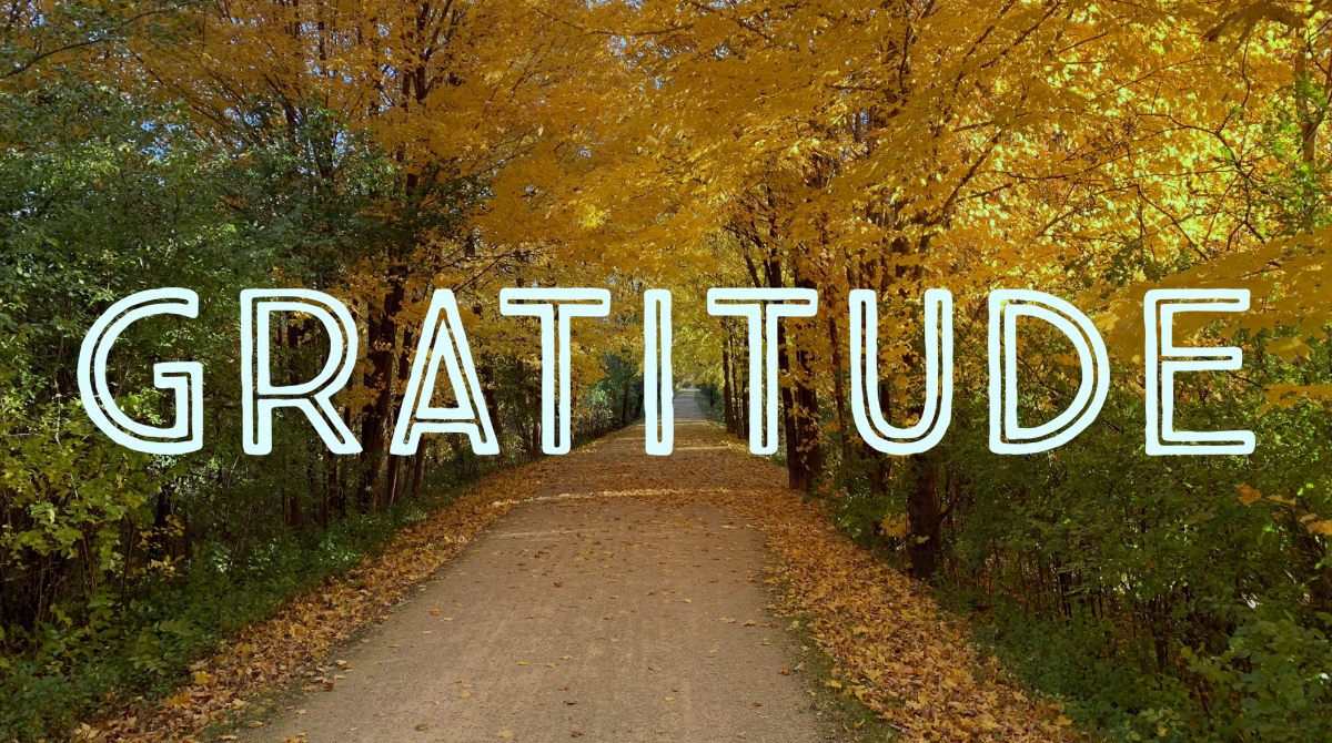 Practicing Gratitude Unlocks Your Potential