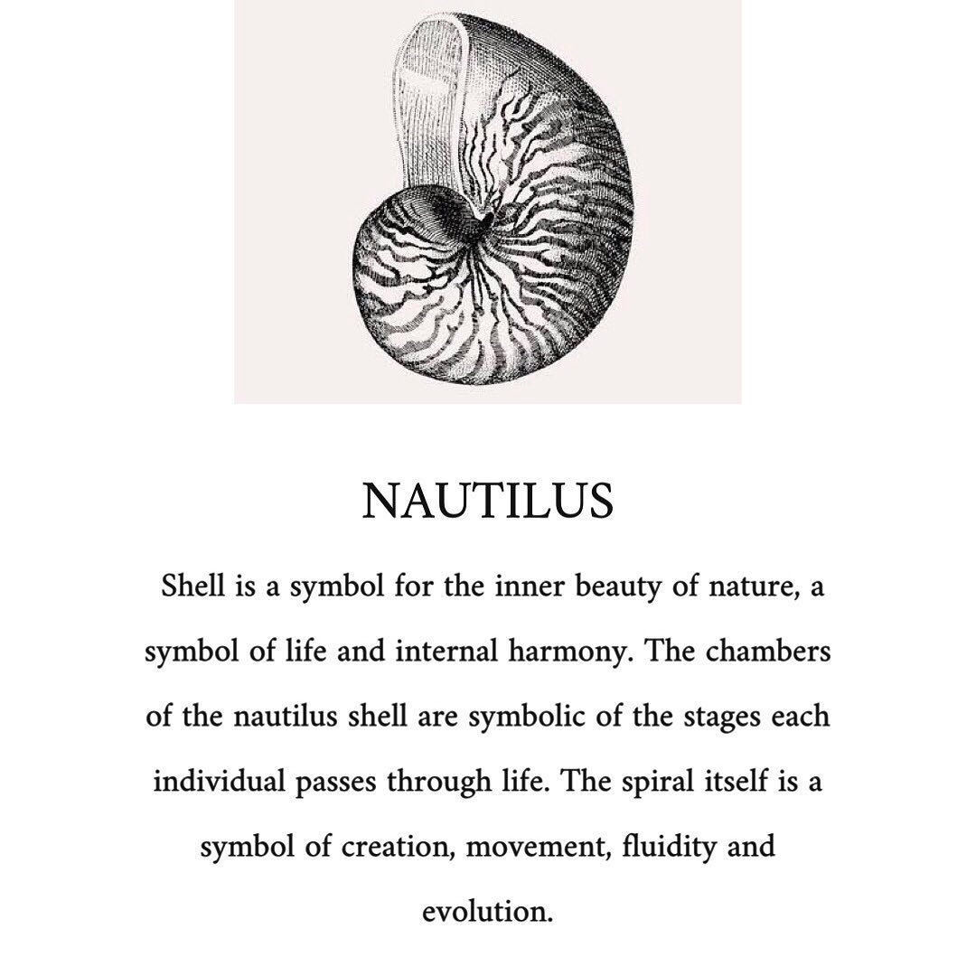 The Nautilus: A Spiral of the Universe